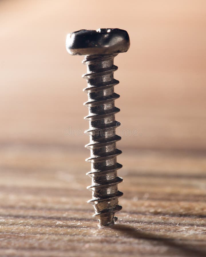 Screw. close-up stock photo. Image of nature, constructing - 104246888