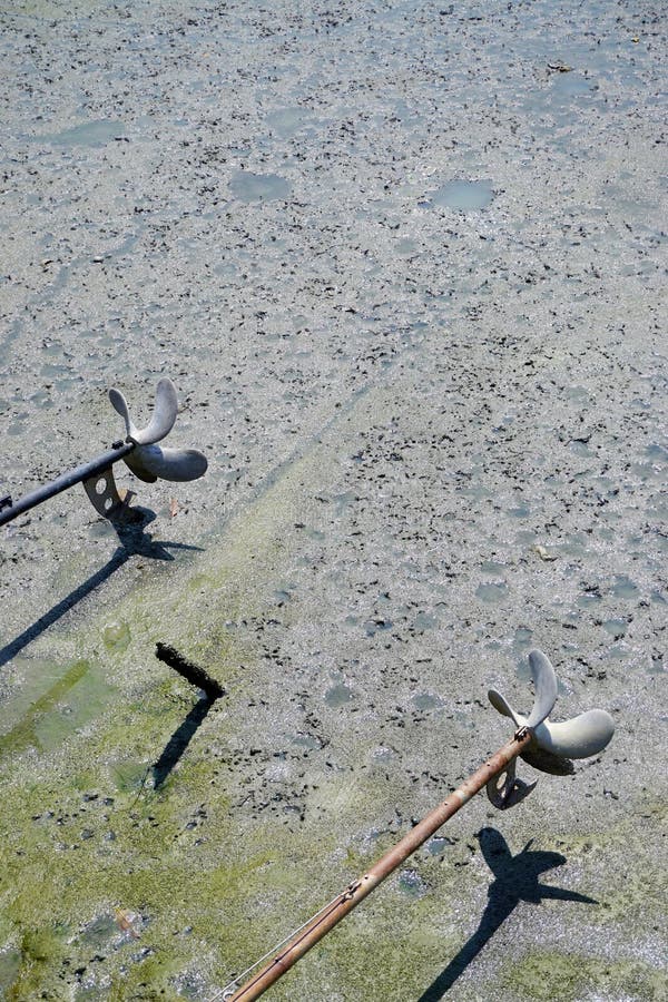 Screw-Propeller of Long Tail Boat and Low Lide Sea Surface Background ...