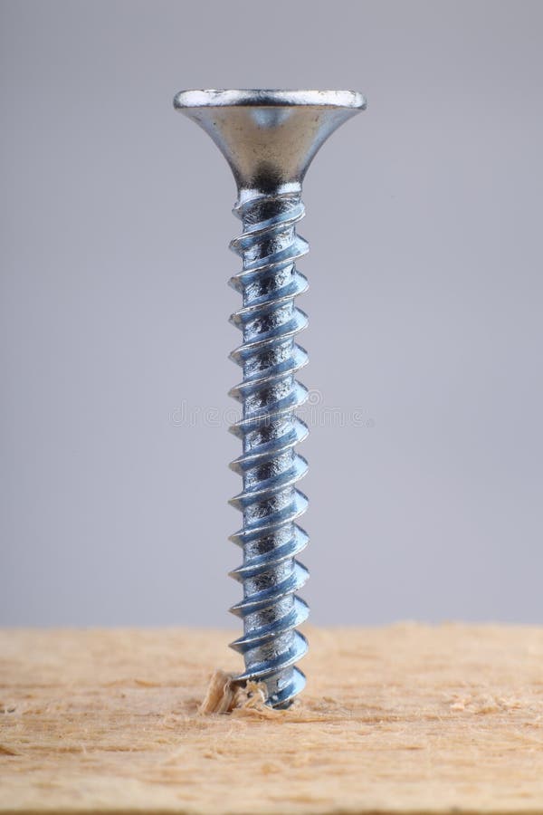 Screwed into Wooden Plank stock photo. Image of renovation - 60917586