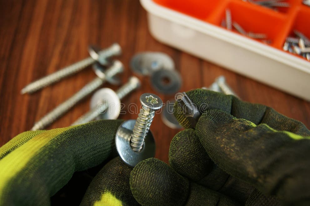 A with a Washer and a Torx Bit in the Hands of a Builder Stock Photo ...