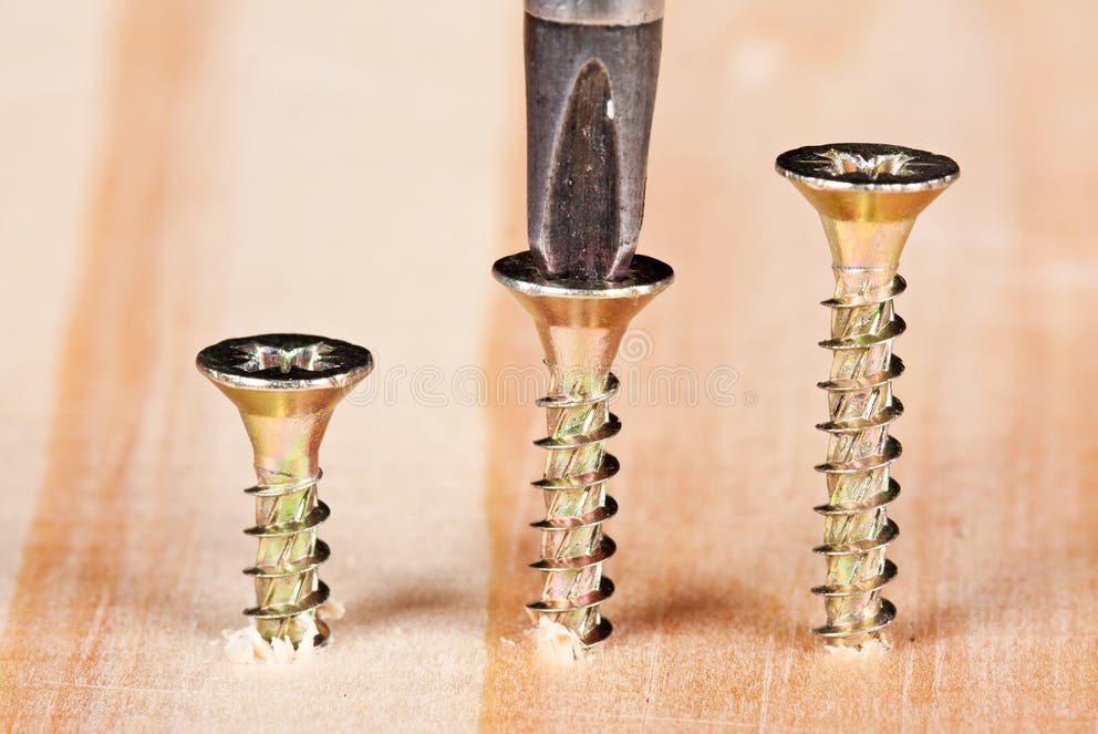 Screwdriver Screwing in Second Stock Photo - Image of carpenter ...