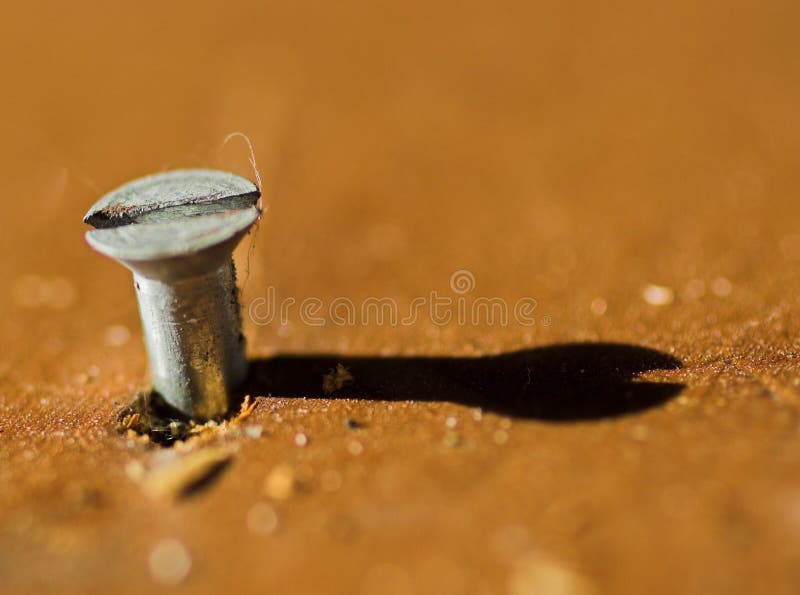 Screwed stock photo. Image of unfinished, slotted, wood - 291124