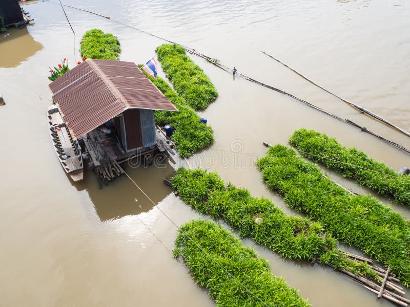 Screwpine Water Stock Photos - Free & Royalty-Free Stock Photos from ...