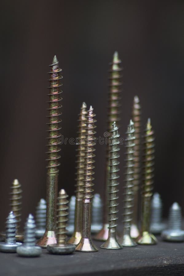 Screws with Different Threads Stock Image - Image of shiny, thread ...