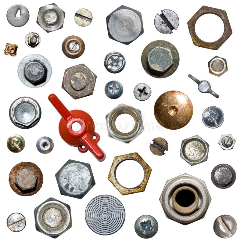 Nuts stock photo. Image of shape, closeup, fixing, aligned - 363212