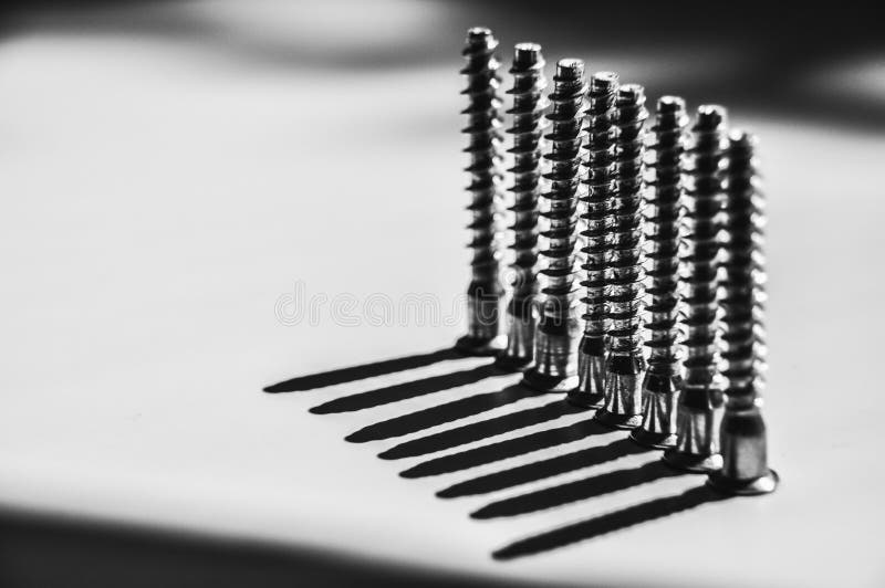 The Screws Stand in a Row Vertically on the White Table Top Casting ...