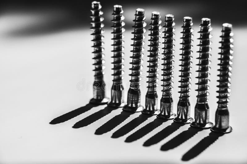 The Screws Stand in a Row Vertically on the White Table Top Casting ...