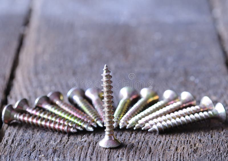 Screws. stock photo. Image of tool, industrial, closeup - 49685274