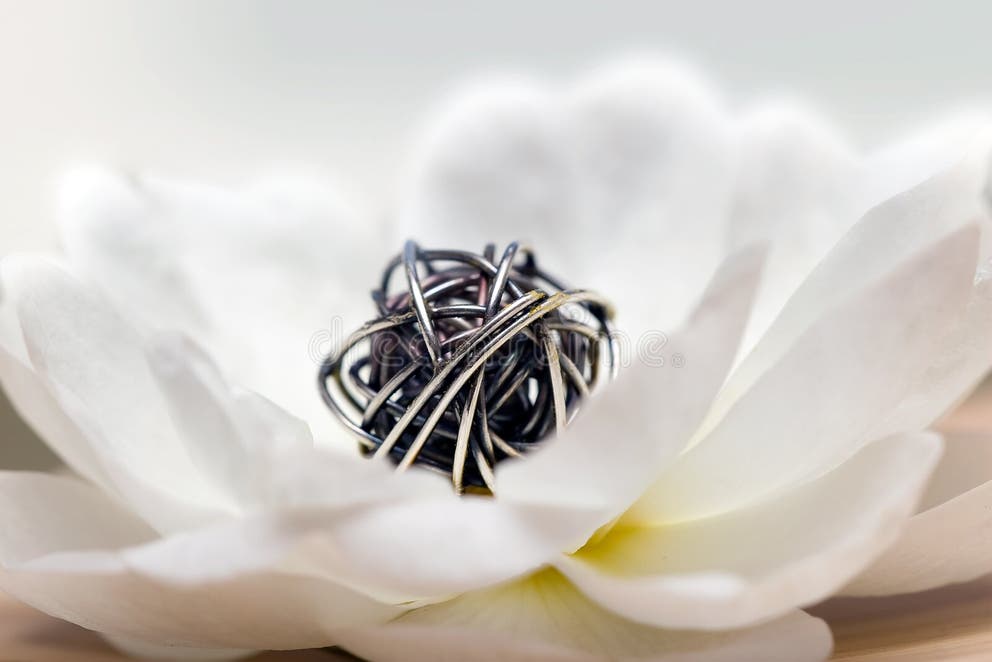 Scribble ball stock photo. Image of garden, globe, gift - 12922654