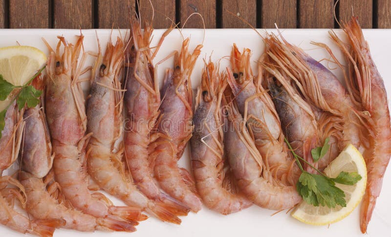Scrimps stock image. Image of prawns, culinary, gourmet - 38363025