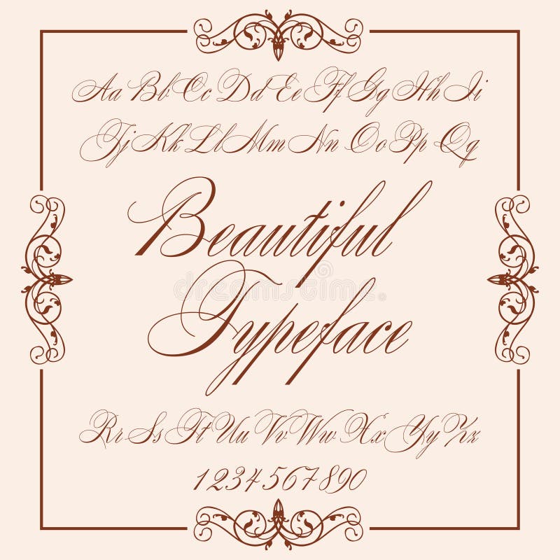 Script Handwriting Font - Beautiful Typeface - Vector Alphabet. Hand ...