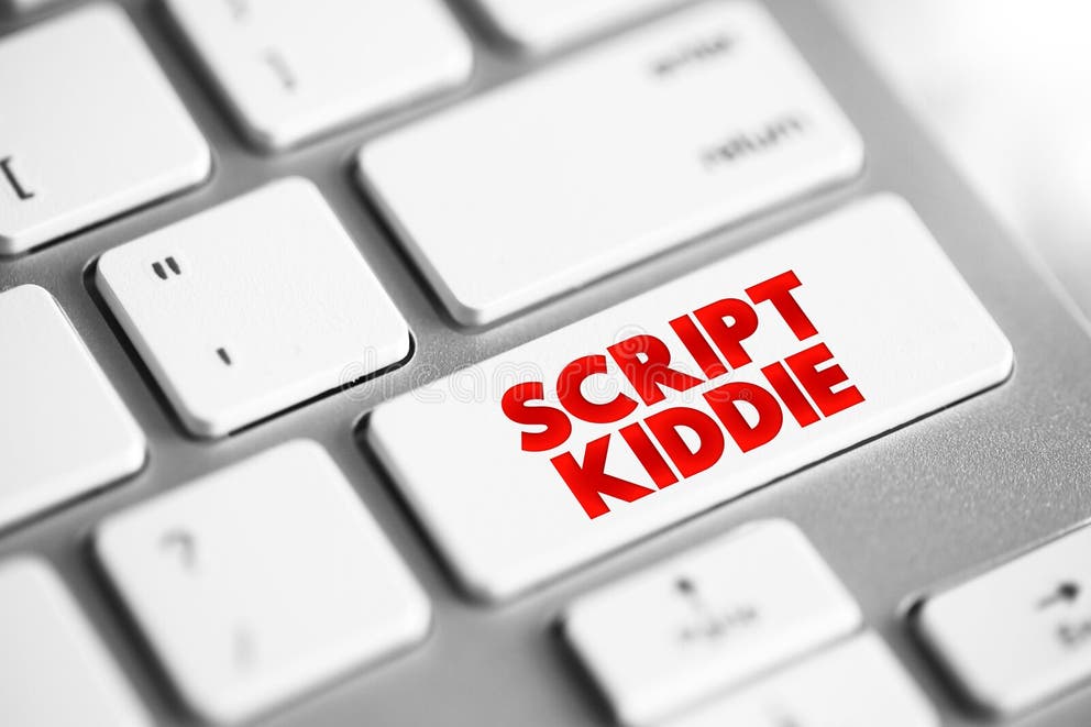 Script Kiddie is Someone that Uses Existing Software To Hack Computer Systems Belonging To ...