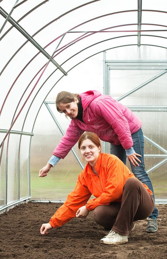 Scrofe Delle Donne in Base Alla Serra Fotografia Stock - Immagine di ...