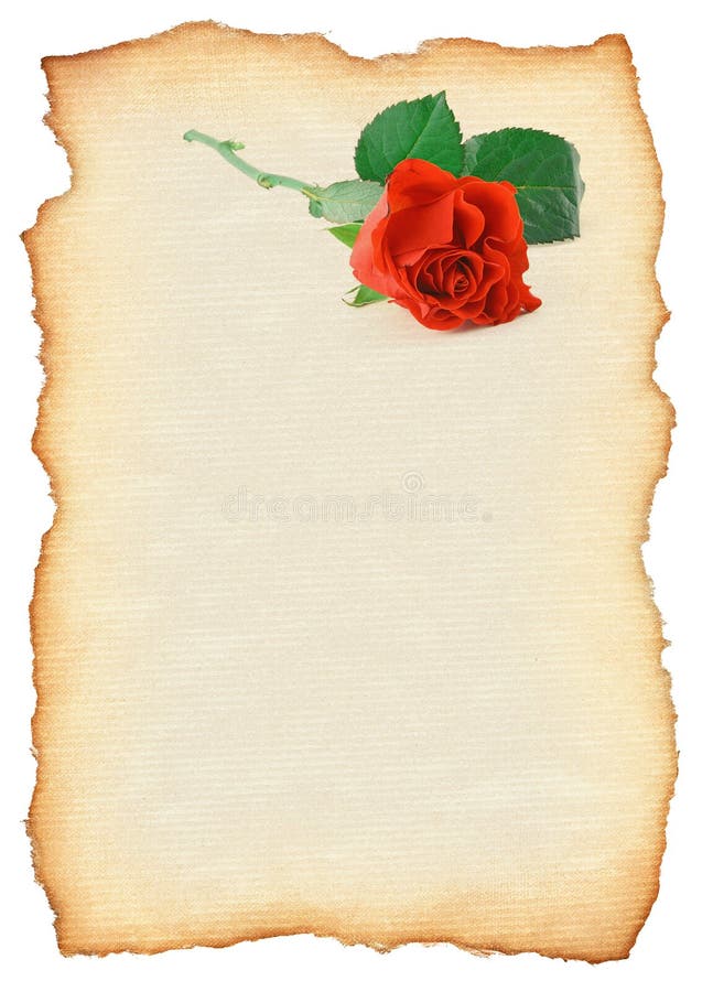 Scroll with rose stock illustration. Illustration of love - 3640721