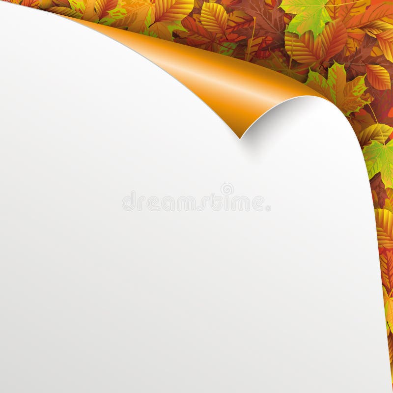 Scrolled Corner Paper Cover Autumn Foliage Stock Vector - Illustration ...