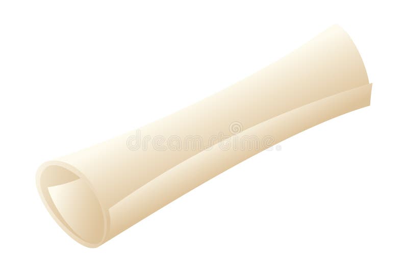 Scrolled Paper Document on a White Background Stock Vector ...