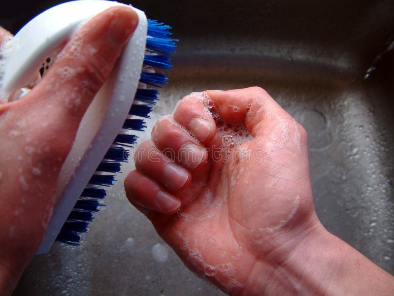 Scrub stock photo. Image of disease, cleaning, nailbrush - 156590