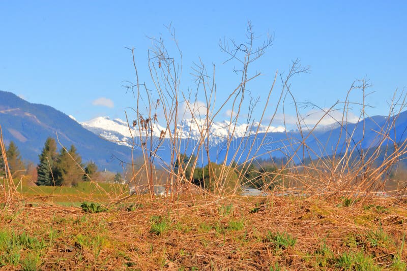 Scrub Land with Mountain Backdrop Stock Photo - Image of alps, hills ...