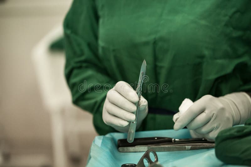 Scrub Nurse Prepare Medical Instruments. Orthopedic Surgeons Stock ...