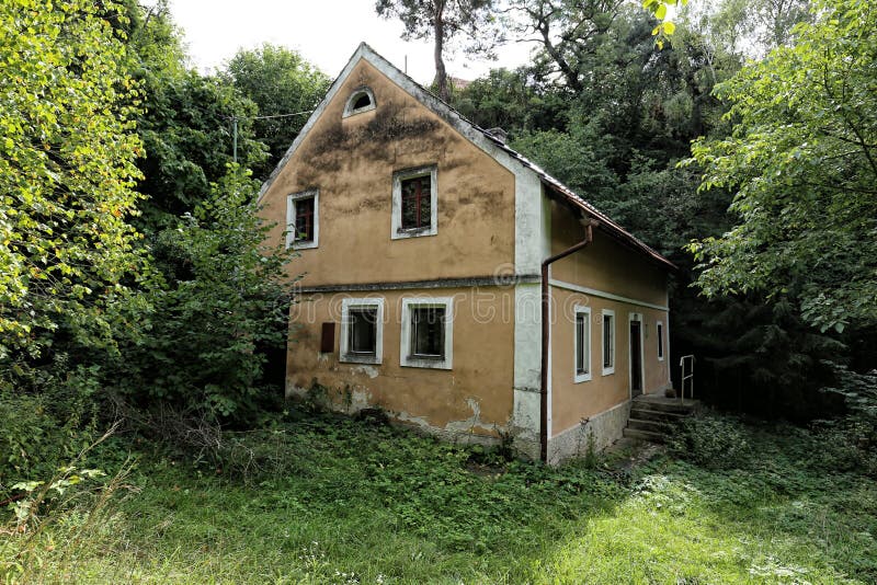 Old Green Scrubby Swimming Pool Stock Image - Image of tower, forest ...