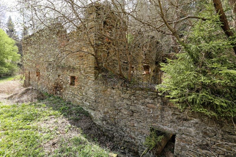 Old Green Scrubby Swimming Pool Stock Image - Image of tower, forest ...