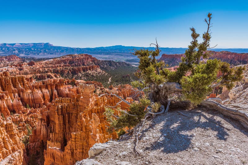 Path into Bryce Canyon stock image. Image of escarpment - 51095235