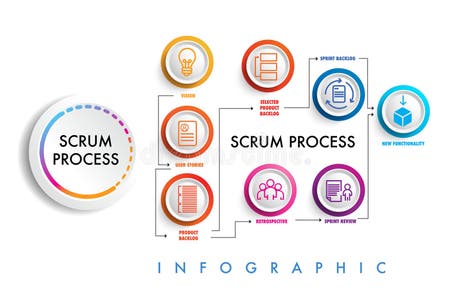 Scrum Process Infographic Flowchart Infographic Stock Vector - Illustration of manage, flow ...