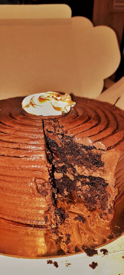 Scrumptious cake stock image. Image of chocolate, cake - 252251645