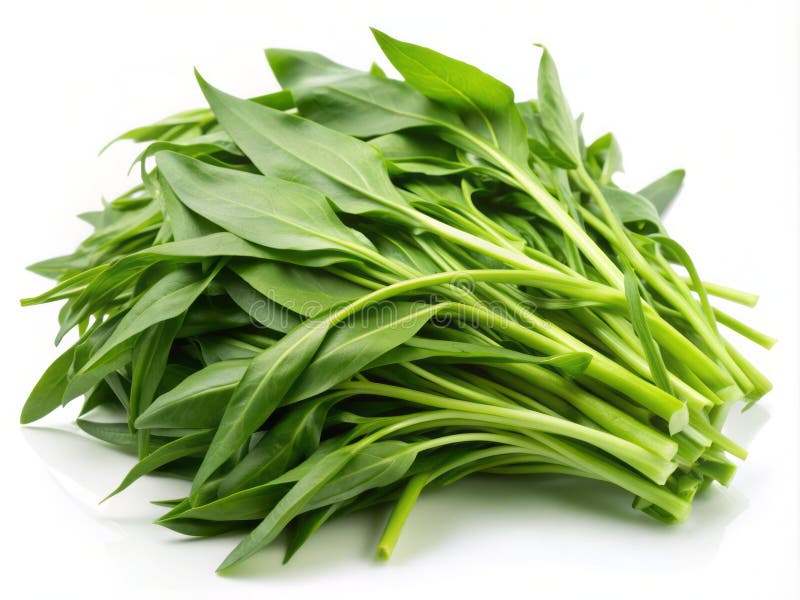 Scrumptious Water Spinach Fresh Cleaned and Ready for Culinary Delights ...
