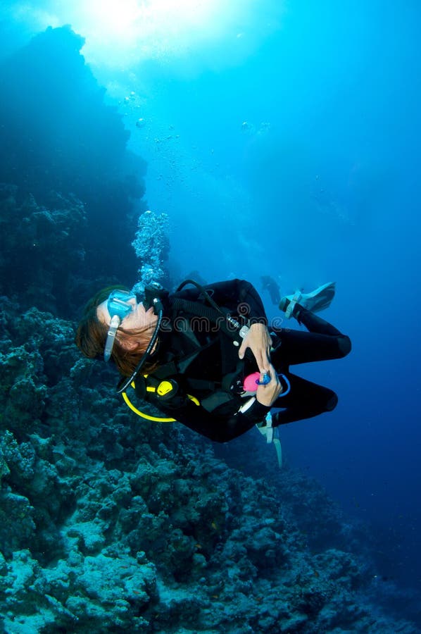 Scuba diver stock photo. Image of portrait, group, divers - 14652722