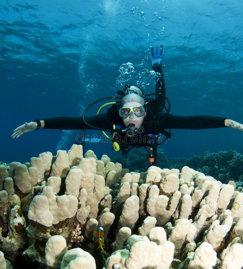 Three Friends Scuba Diving Together Stock Photo - Image of fish ...