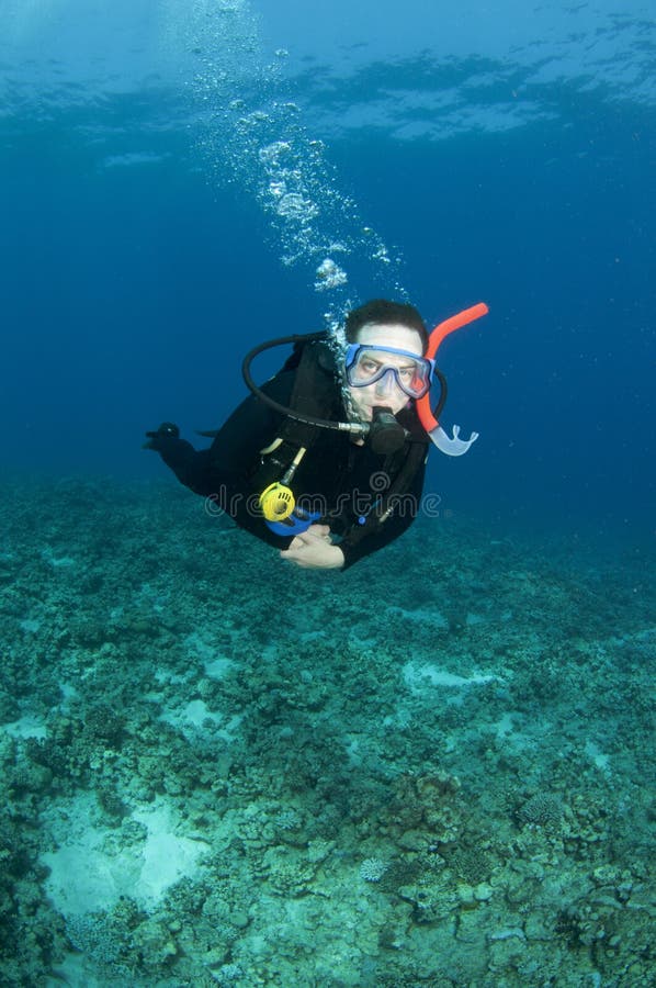 Scuba Diver Picture. Image: 15424287