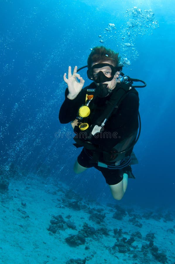 Male Scuba Diver Ok Sighn Stock Photos - Free & Royalty-Free Stock ...