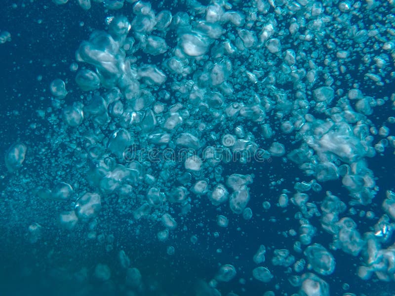 Diver bubbles stock image. Image of clean, clear, nature - 48884455
