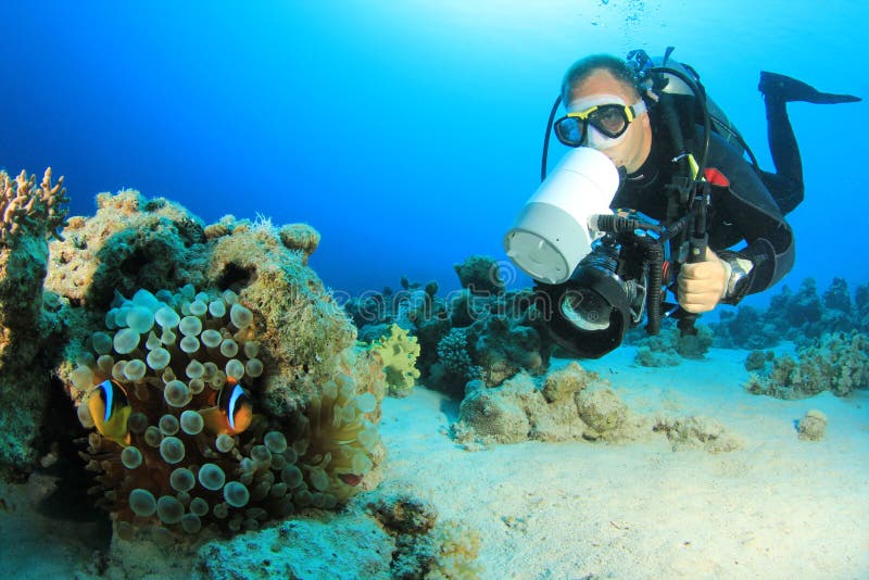 Scuba Diver with Camera stock photo. Image of colorful - 20086956