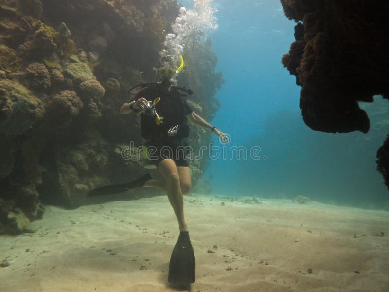 Scuba Diver with Camera on Great Barrier Reef Stock Photo - Image of ...