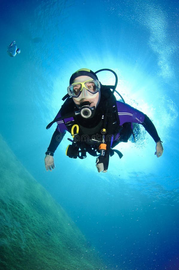 Diver in clear blue water stock image. Image of angle - 12452259