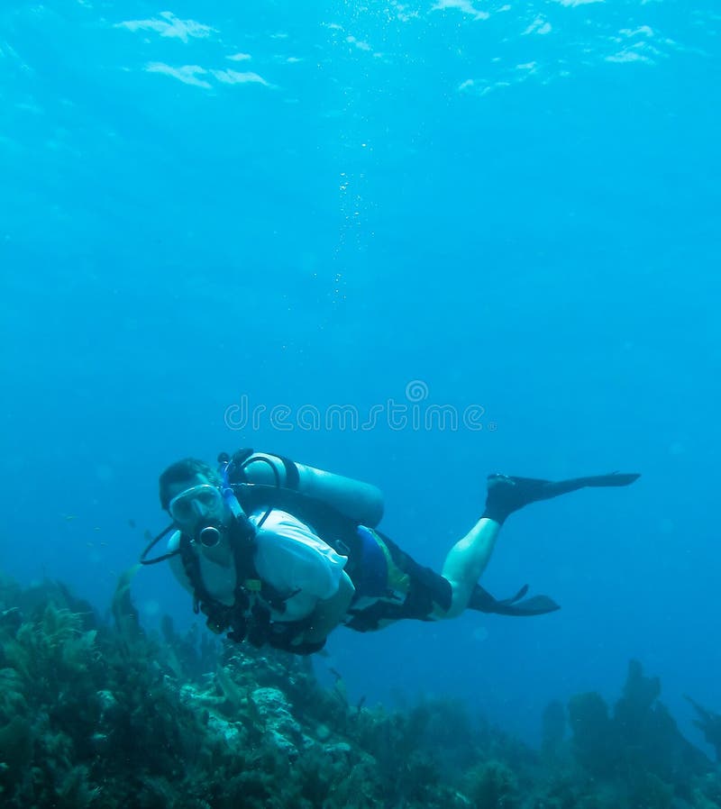 Three Friends Scuba Diving Together Stock Photo - Image of adventure ...