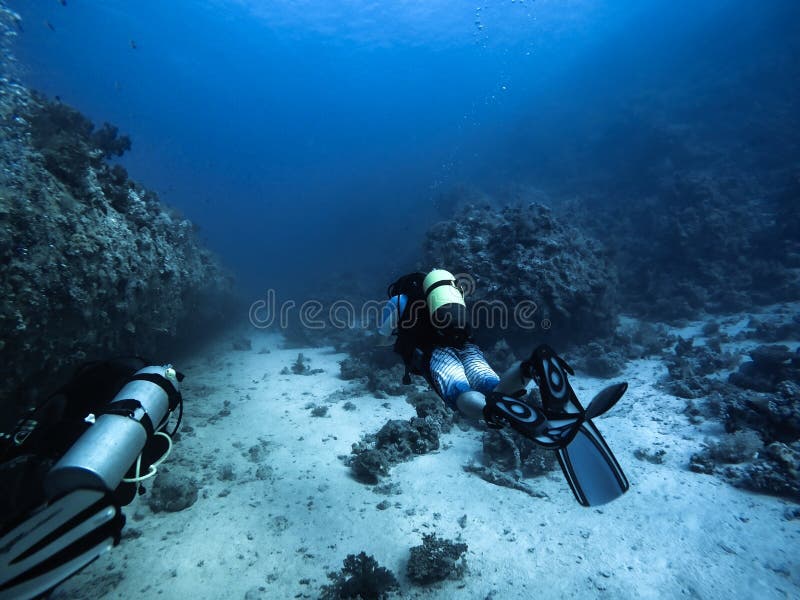 Scuba Diver Descending To the Bottom Stock Photo - Image of diving ...