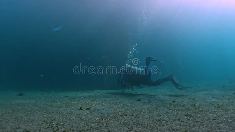 Scuba Diver Exploring Around Underside Pier Underwater Deep Ocean ...