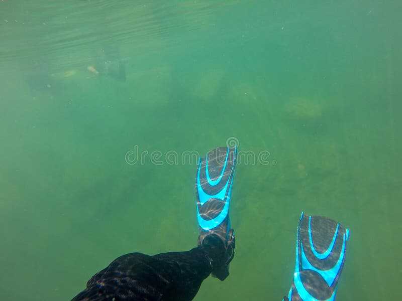 Scuba Diver Fins and Legs Underwater Stock Photo - Image of divers ...
