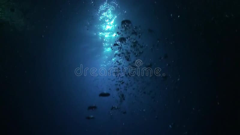 Ocean At Night Underwater