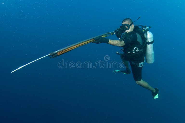 Scuba Diver Spear Gun Coral Reef Stock Photos - Free & Royalty-Free ...