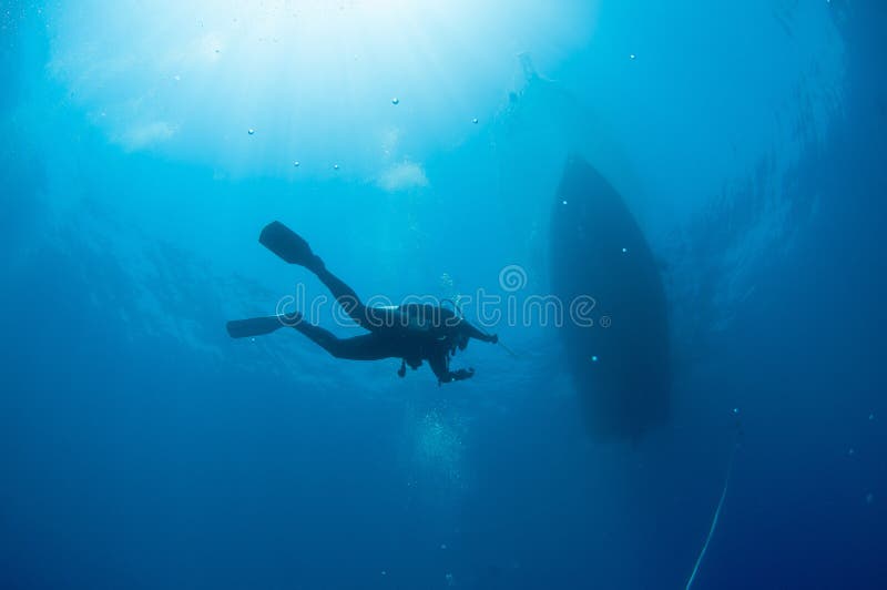 A Scuba Diver Heads Toward the Surface after a Dive. Stock Photo ...