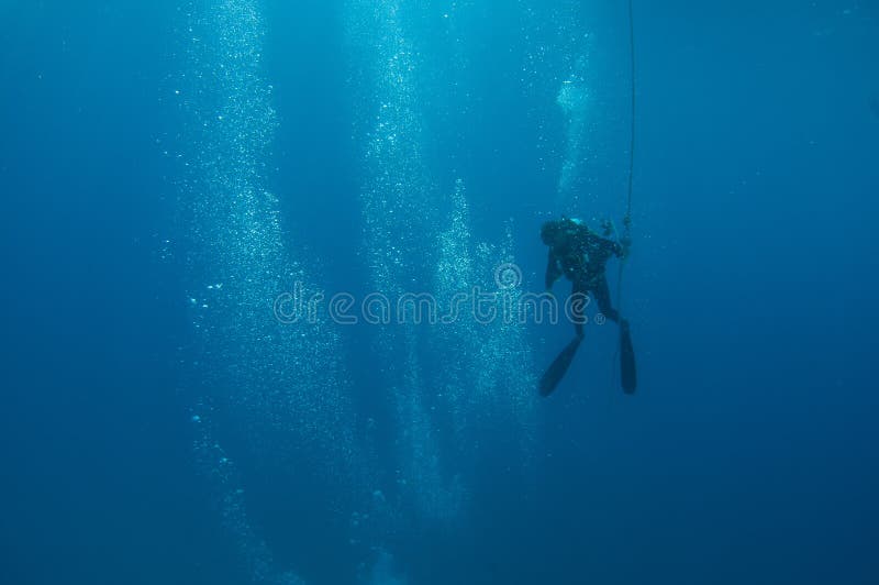 A Scuba Diver Heads Toward the Surface after a Dive. Stock Photo ...