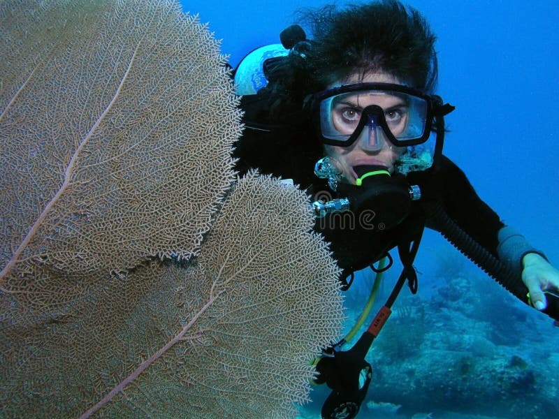 Scuba Diver Next To Large Fan Coral Stock Image - Image of female ...
