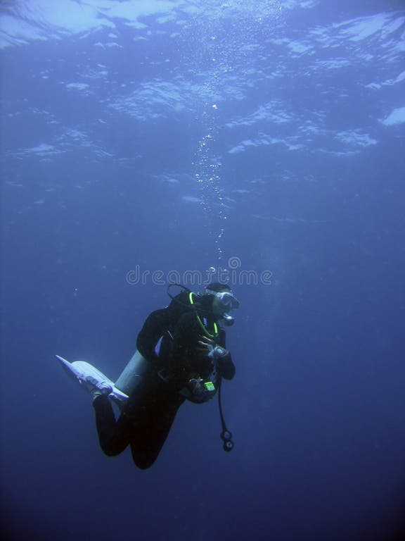 Scuba Diver safety stop stock photo. Image of equip, extreme - 232508