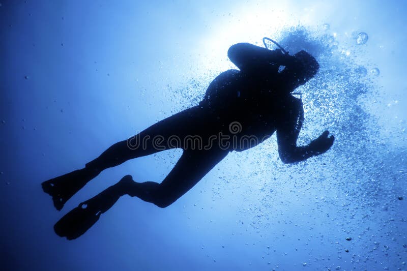 Scuba Diver Silhouettes Blue Water Stock Photo - Image of clear, world ...