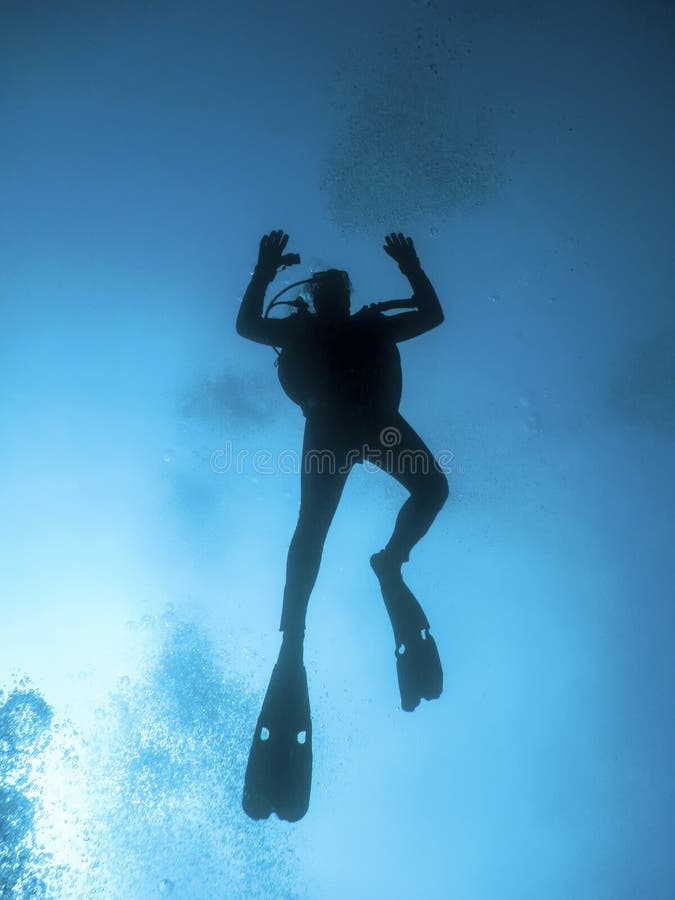 Scuba Diver Silhouettes Blue Water Stock Image - Image of nature ...