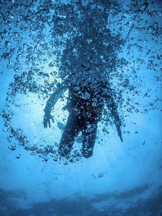 Scuba Diver Silhouettes Blue Water Stock Image - Image of biodiversity ...